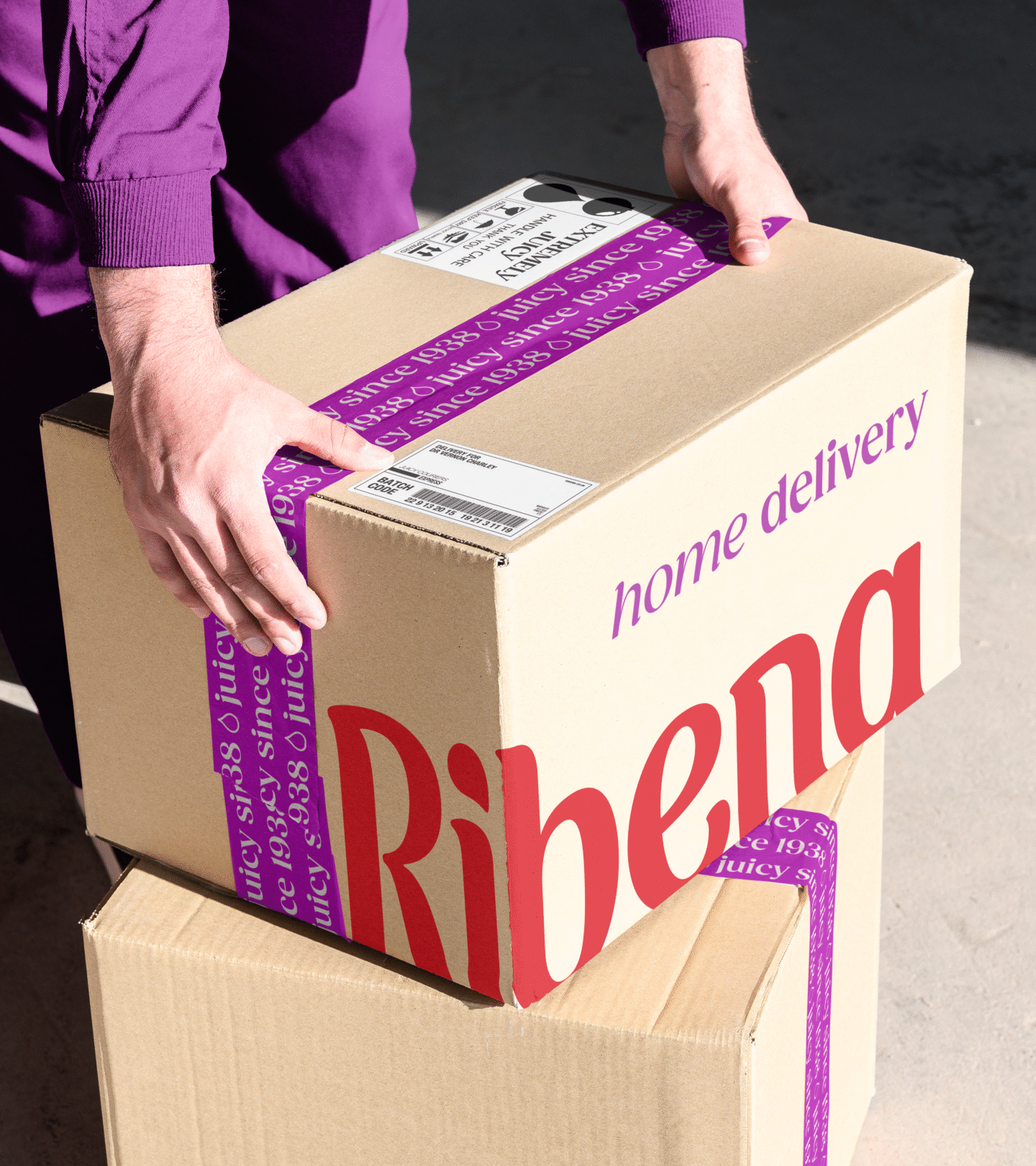 Ribena Brand Design | Elmwood Global Branding Agency